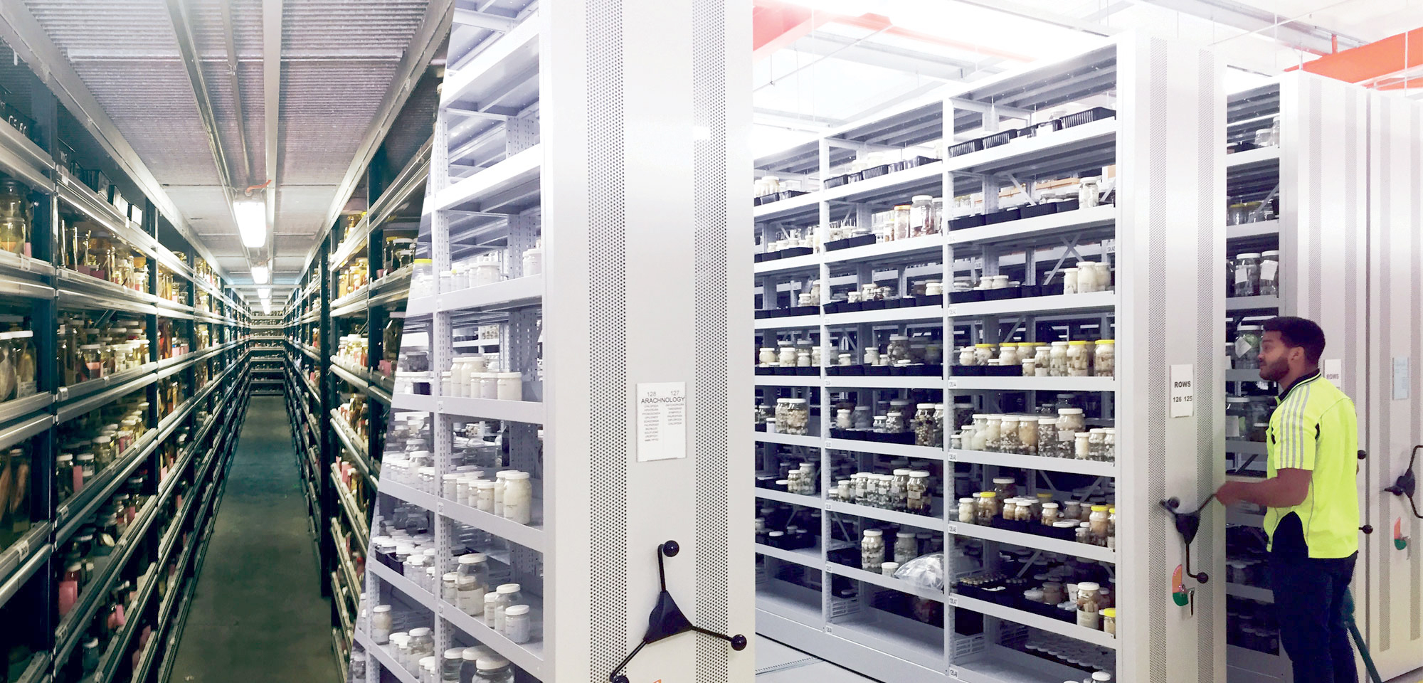 Revolutionising archival and museum storage: Castledex's innovative solutions